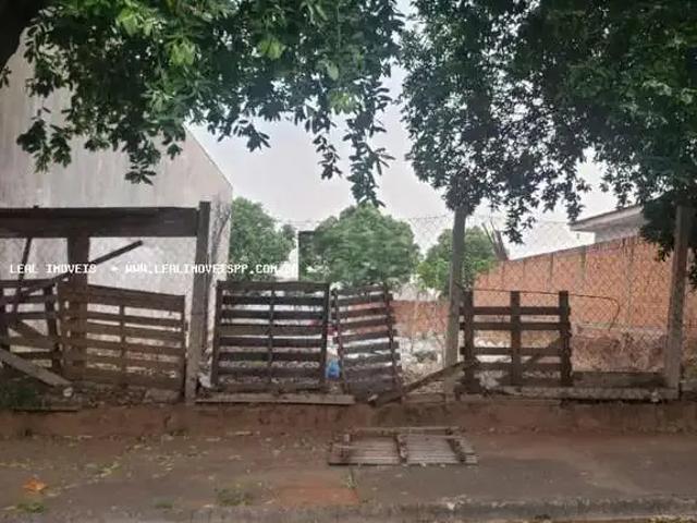Terreno / Lote para Venda em Presidente Prudente/SP Jardim Prudentino