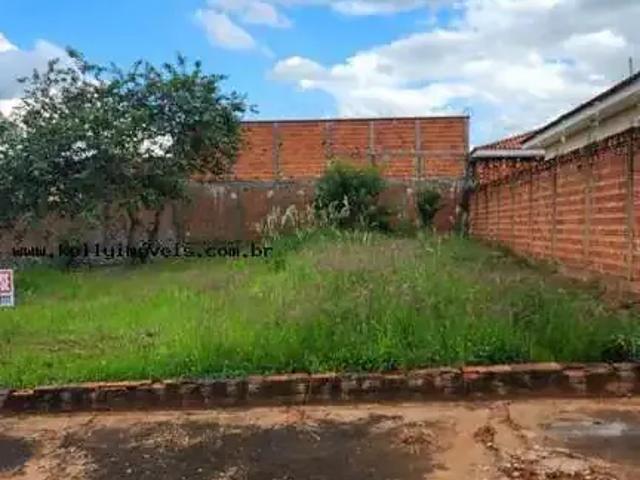 Terreno / Lote para Venda em Presidente Prudente/SP Jardim Prudentino