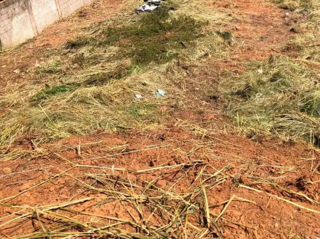 Terreno / Lote para Venda em Presidente Prudente/SP Jardim Sabará