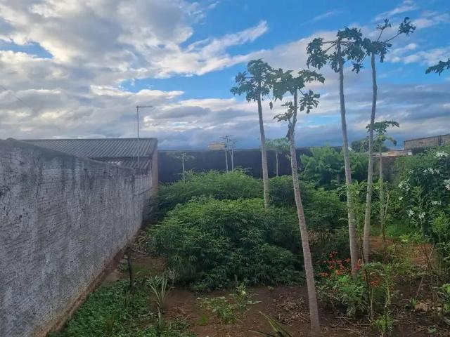 Terreno / Lote para Venda em Presidente Prudente/SP Jardim Vila Real