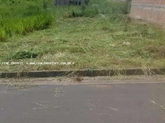 Terreno / Lote para Venda em Presidente Prudente/SP Jardim Vista Bonita