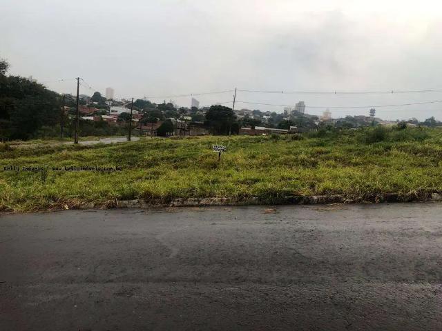 Terreno / Lote para Venda em Presidente Prudente/SP Parque Furquim