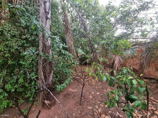 Terreno / Lote para Venda em Presidente Prudente/SP Parque Residencial Mediterrâneo