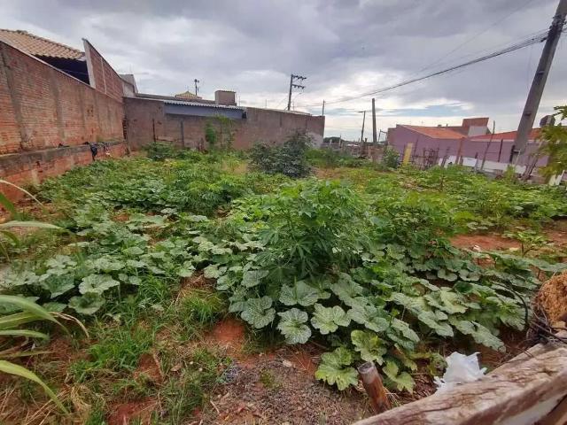 Terreno / Lote para Venda em Presidente Prudente/SP Parque Residencial Jardins