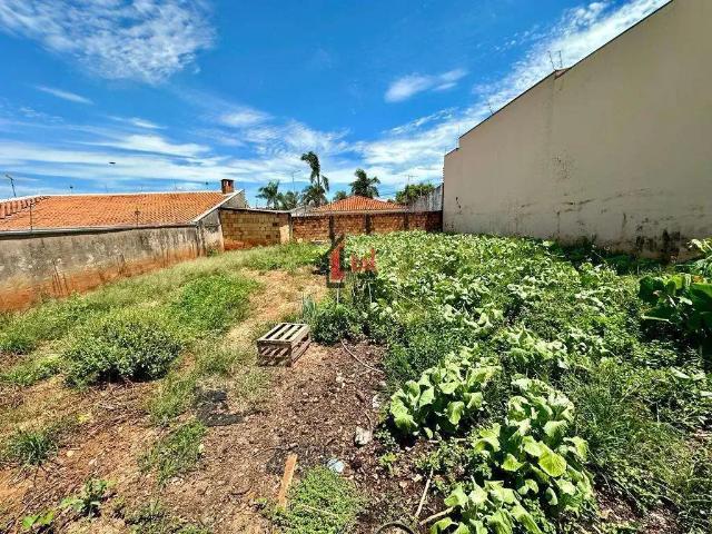 Terreno / Lote para Venda em Presidente Prudente/SP Parque Residencial São Lucas