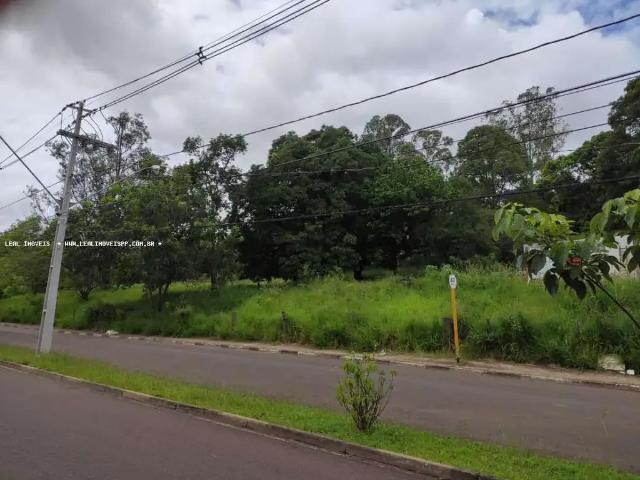 Terreno / Lote para Venda em Presidente Prudente/SP Parque Watal Ishibashi