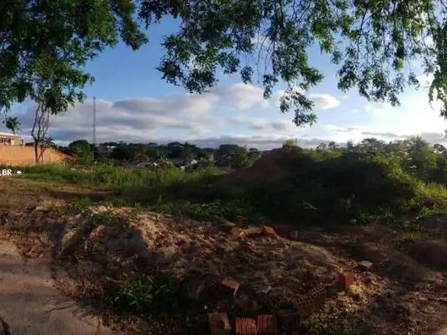 Terreno / Lote para Venda em Presidente Prudente/SP Parque Watal Ishibashi