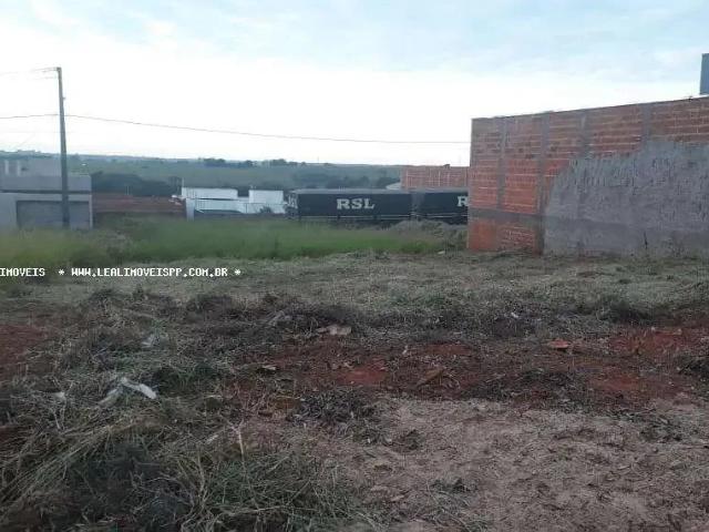 Terreno / Lote para Venda em Presidente Prudente/SP Rotta do Sol