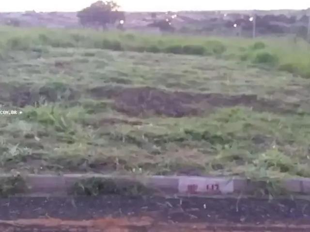 Terreno / Lote para Venda em Presidente Prudente/SP Residencial Alta Vista I