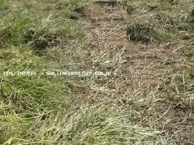 Terreno / Lote para Venda em Presidente Prudente/SP Residencial Alta Vista I