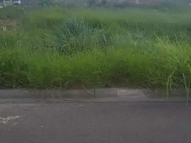 Terreno / Lote para Venda em Presidente Prudente/SP Residencial Alta Vista I