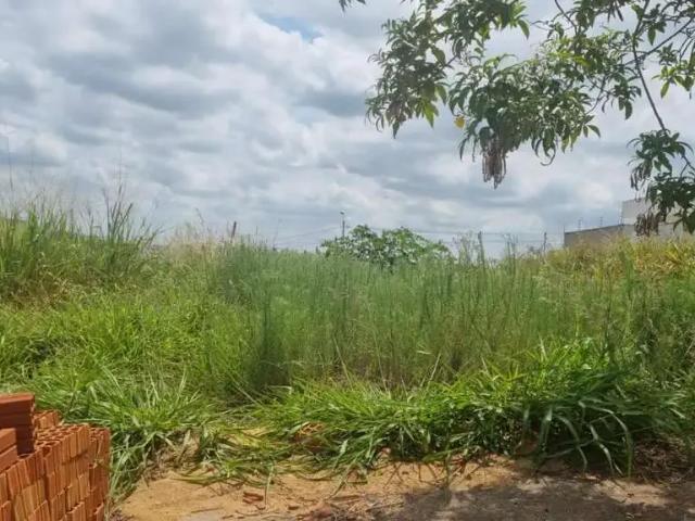 Terreno / Lote para Venda em Presidente Prudente/SP Residencial Bongiovani