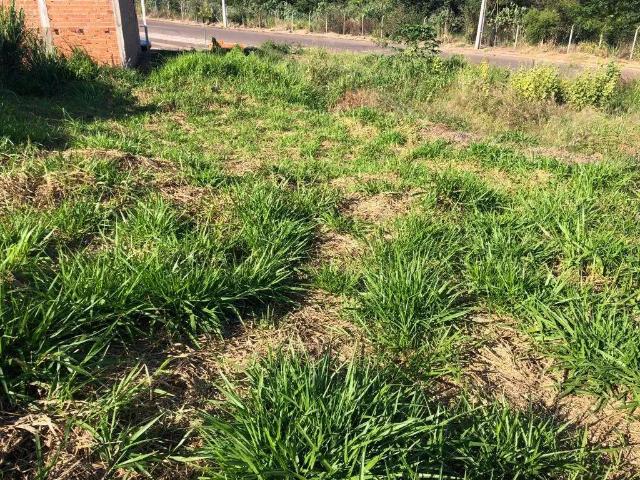 Terreno / Lote para Venda em Presidente Prudente/SP Residencial Bongiovani