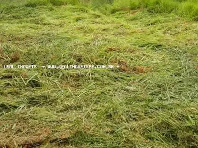 Terreno / Lote para Venda em Presidente Prudente/SP Residencial Bongiovani