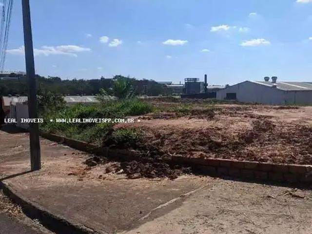 Terreno / Lote para Venda em Presidente Prudente/SP Residencial Florenza
