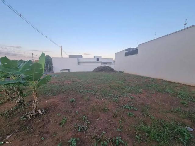 Terreno / Lote para Venda em Presidente Prudente/SP Residencial Itapuã