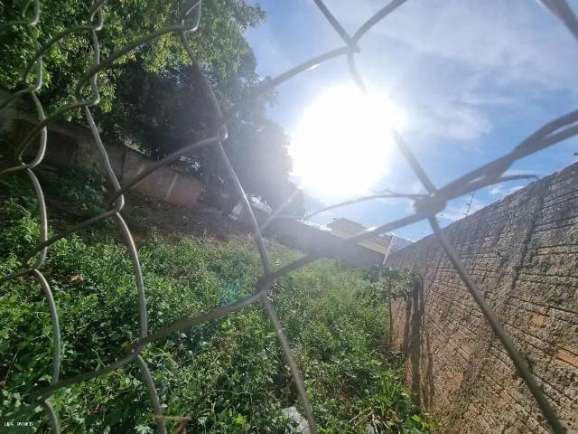 Terreno / Lote para Venda em Presidente Prudente/SP Residencial Universitário
