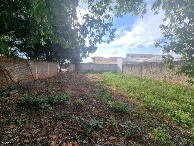 Terreno / Lote para Venda em Presidente Prudente/SP Residencial Universitário