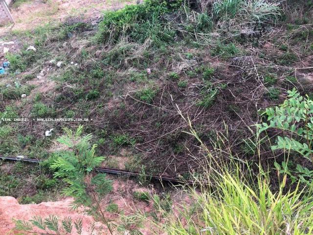 Terreno / Lote para Venda em Presidente Prudente/SP Vila Verinha
