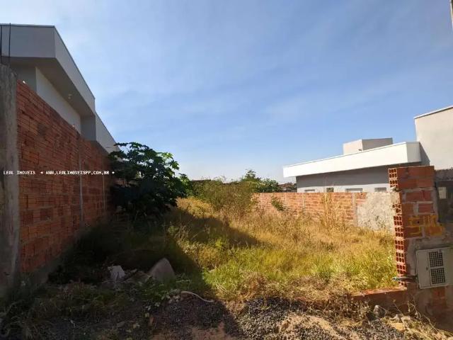 Terreno / Lote para Venda em Presidente Prudente/SP Vila Verinha