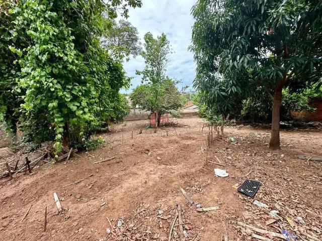 Terreno / Lote para Venda em Presidente Prudente/SP Vila Angélica