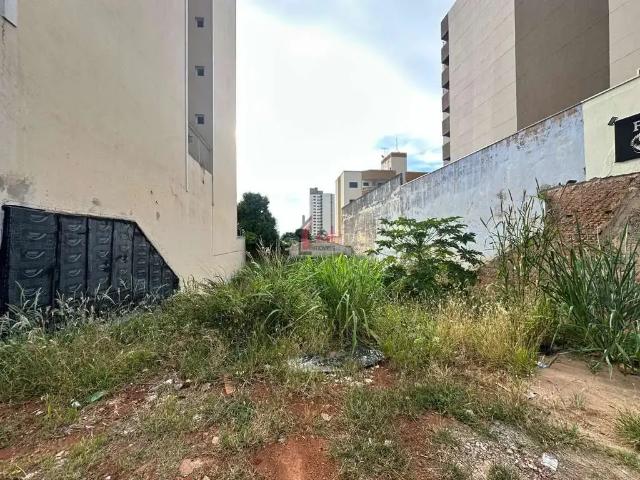 Terreno / Lote para Venda em Presidente Prudente/SP Vila Dubus