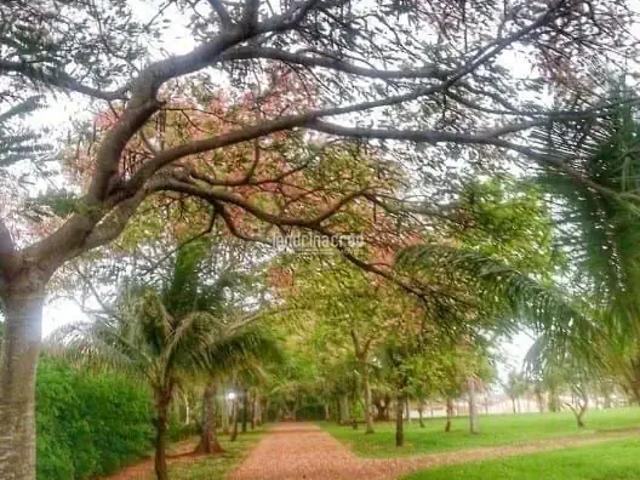 Terreno / Lote para Venda em Primeiro de Maio/PR Centro