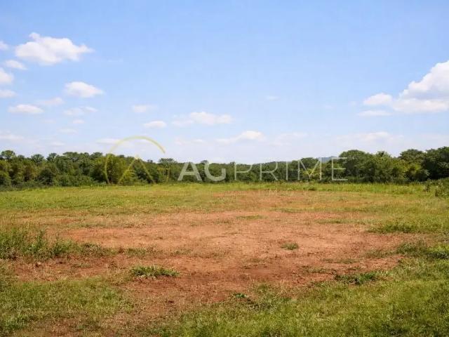 Terreno / Lote para Venda em Primeiro de Maio/PR Recreio Tibagi