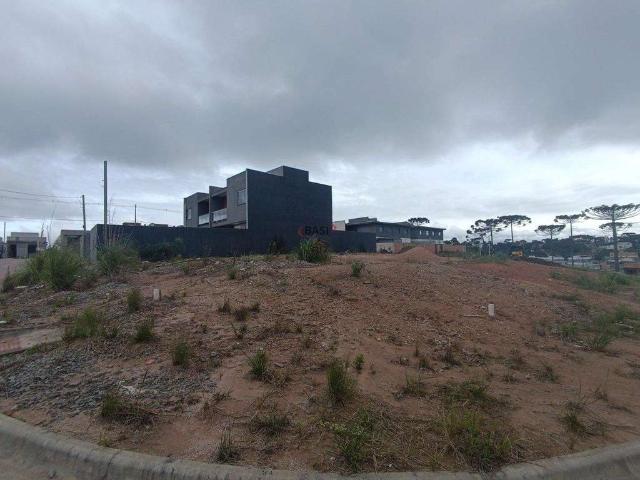 Terreno / Lote para Venda em Quatro Barras/PR Campo Fundo
