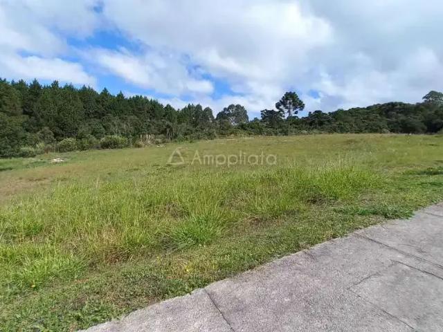 Terreno / Lote para Venda em Quatro Barras/PR Centro