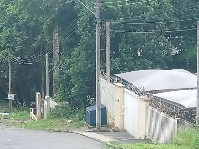 Terreno / Lote para Venda em Quatro Barras/PR Centro