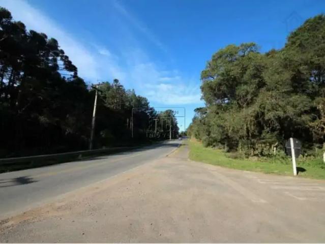 Terreno / Lote para Venda em Quatro Barras/PR Centro