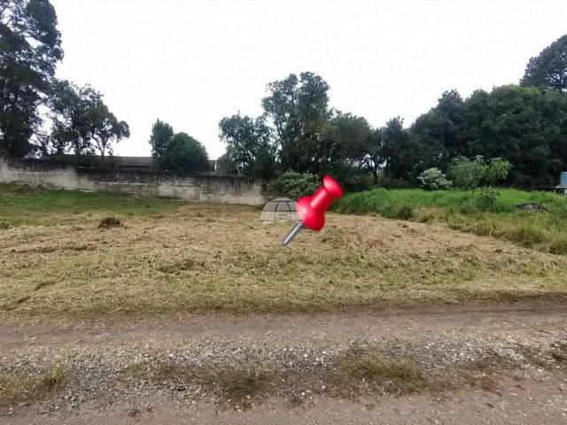 Terreno / Lote para Venda em Quatro Barras/PR Centro