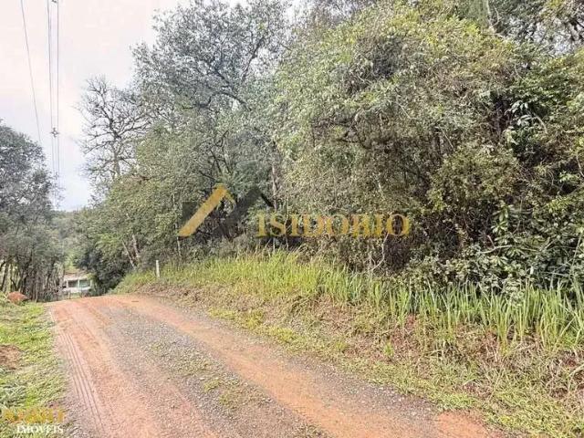 Terreno / Lote para Venda em Quatro Barras/PR Ribeirão do Tigre