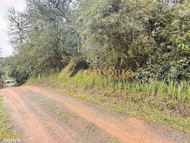 Terreno / Lote para Venda em Quatro Barras/PR Ribeirão do Tigre