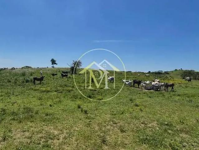Terreno / Lote para Venda em Quadra/SP Zona Rural