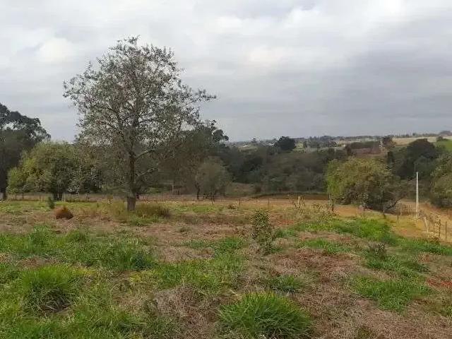 Terreno / Lote para Venda em Quadra/SP Aleluia