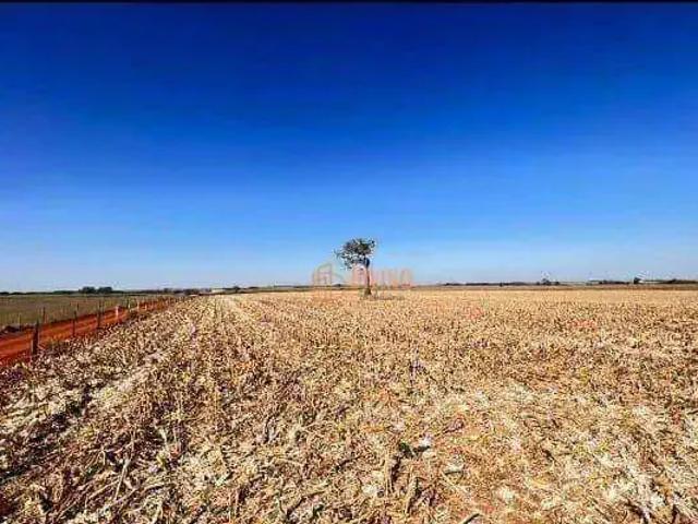 Terreno / Lote para Venda em Quadra/SP Centro