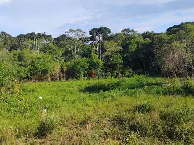 Terreno / Lote para Venda em Quitandinha/PR Centro