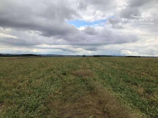 Terreno / Lote para Venda em Ramilândia/PR Zona Rural