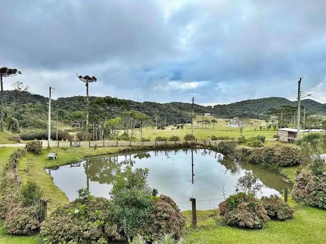Terreno / Lote para Venda em Rancho Queimado/SC Vargedo