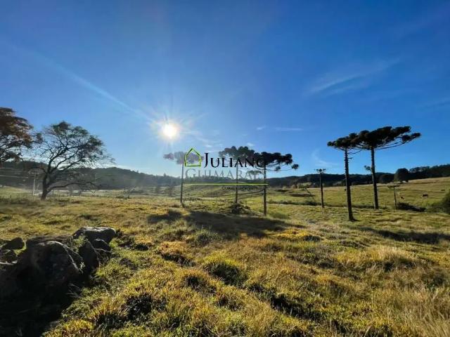 Terreno / Lote para Venda em Rancho Queimado/SC Vargedo