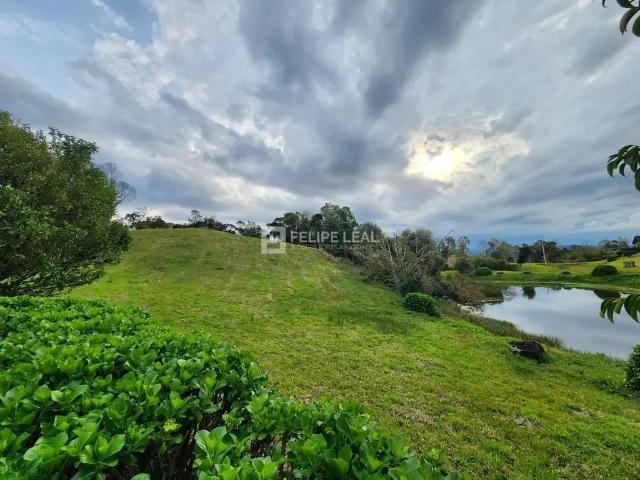 Terreno / Lote para Venda em Rancho Queimado/SC Vargedo