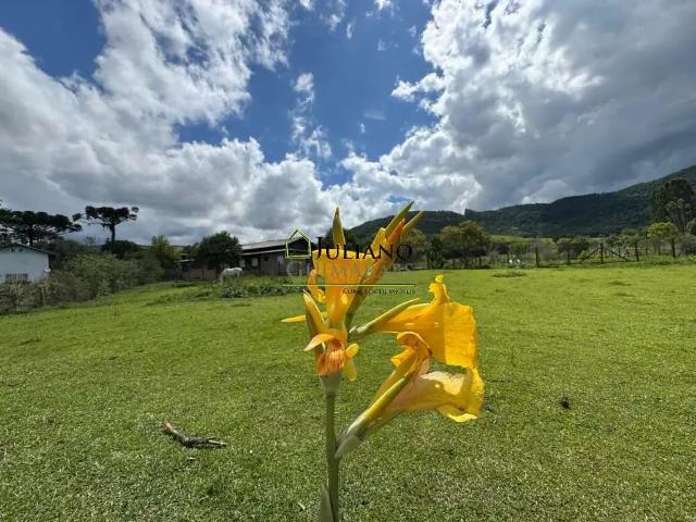 Terreno / Lote para Venda em Rancho Queimado/SC Zona Rural