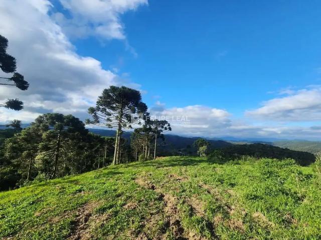 Terreno / Lote para Venda em Rancho Queimado/SC Zona Rural