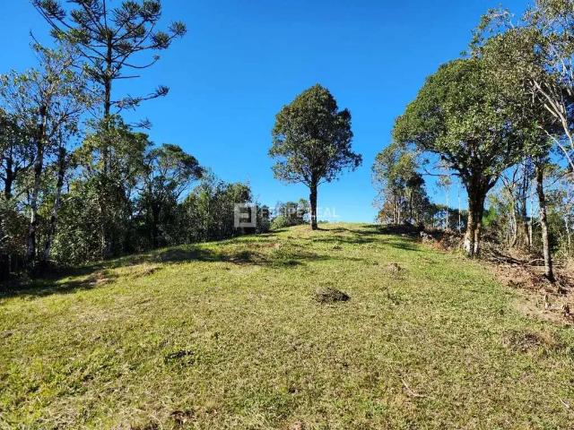 Terreno / Lote para Venda em Rancho Queimado/SC Águas Claras