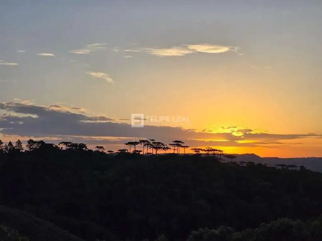 Terreno / Lote para Venda em Rancho Queimado/SC Alto da Boa Vista