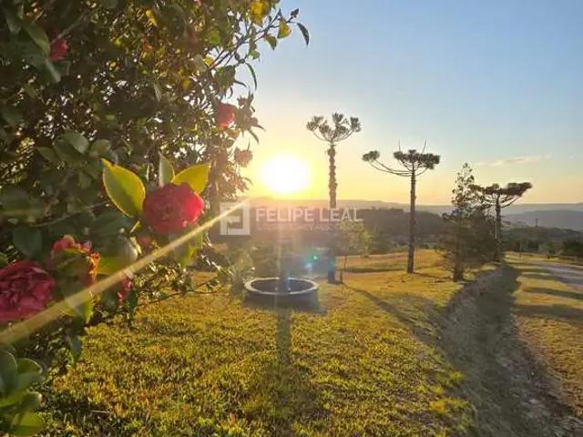 Terreno / Lote para Venda em Rancho Queimado/SC Alto da Boa Vista