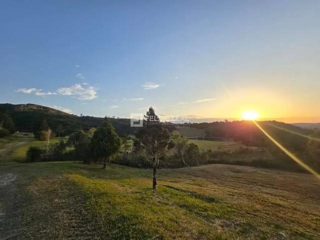 Terreno / Lote para Venda em Rancho Queimado/SC Alto da Boa Vista