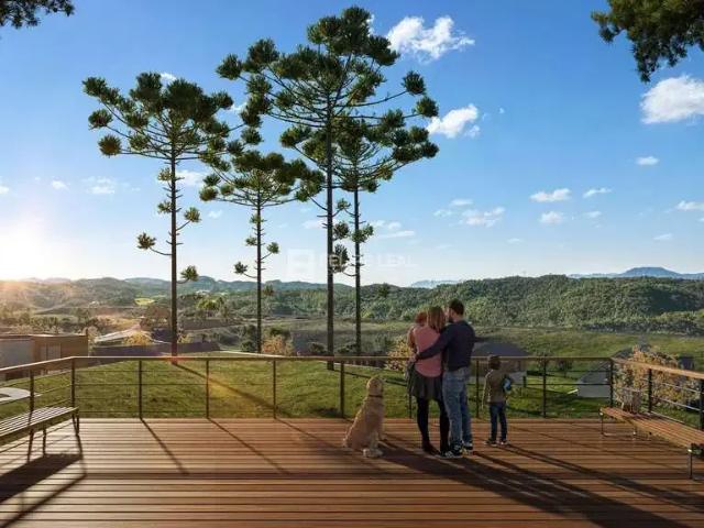 Terreno / Lote para Venda em Rancho Queimado/SC Centro